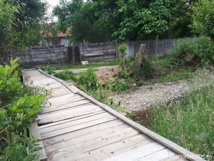 LA MOARA CU NOROC DIN OHABA | Taraba cu amintiri