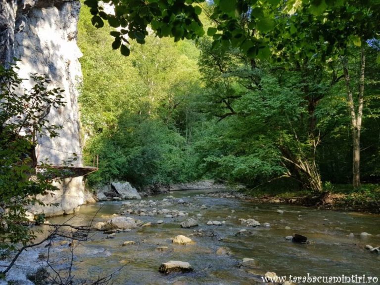 CHEILE VÂRGHIȘULUI, SPECTACOLUL NATURII | Taraba cu amintiri