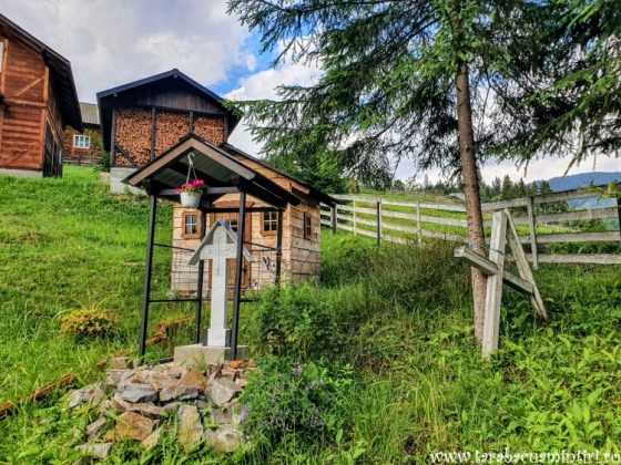 Tărâmul Izvoarelor de la Panaci | Taraba cu amintiri