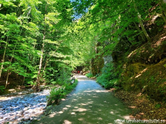 14 locuri care transformă Vâlcea în destinația perfectă pentru o ...