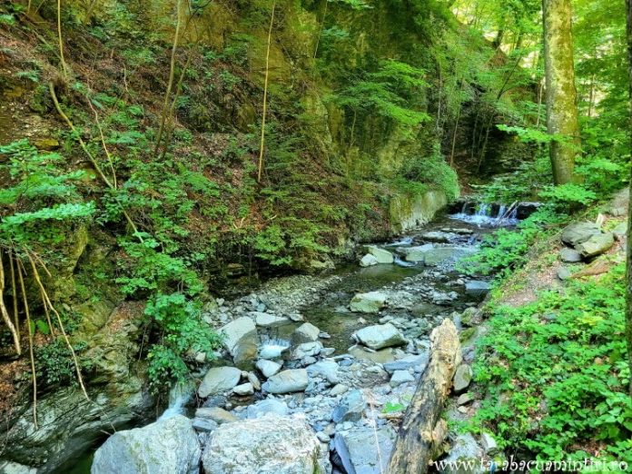 14 locuri care transformă Vâlcea în destinația perfectă pentru o ...