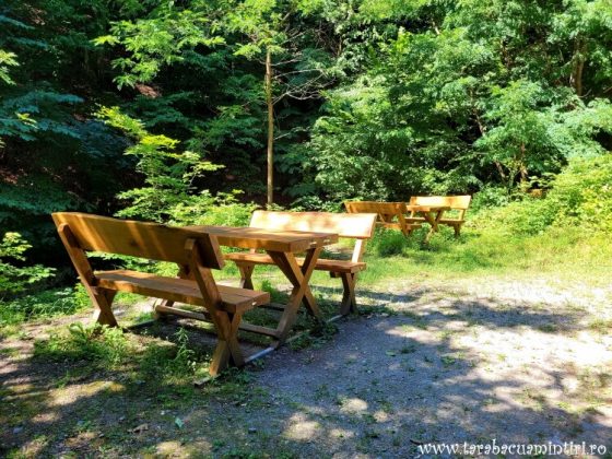 14 locuri care transformă Vâlcea în destinația perfectă pentru o ...