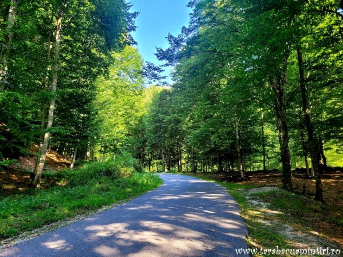 14 locuri care transformă Vâlcea în destinația perfectă pentru o ...