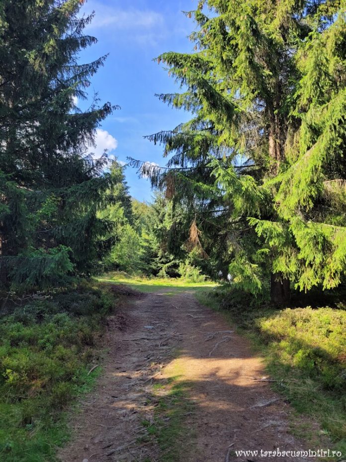 Vârful Pietrosul Rodnei și Lacul Iezer, traseu spectaculos în Carpații ...